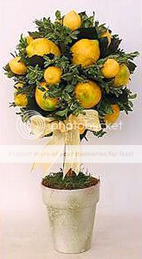 topiary004-lemon-topiary.jpg Photo by nature-delight | Photobucket